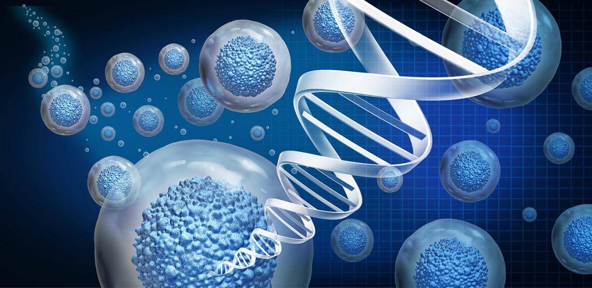 Regenerative Cell Therapy For Knees Pain Treatment